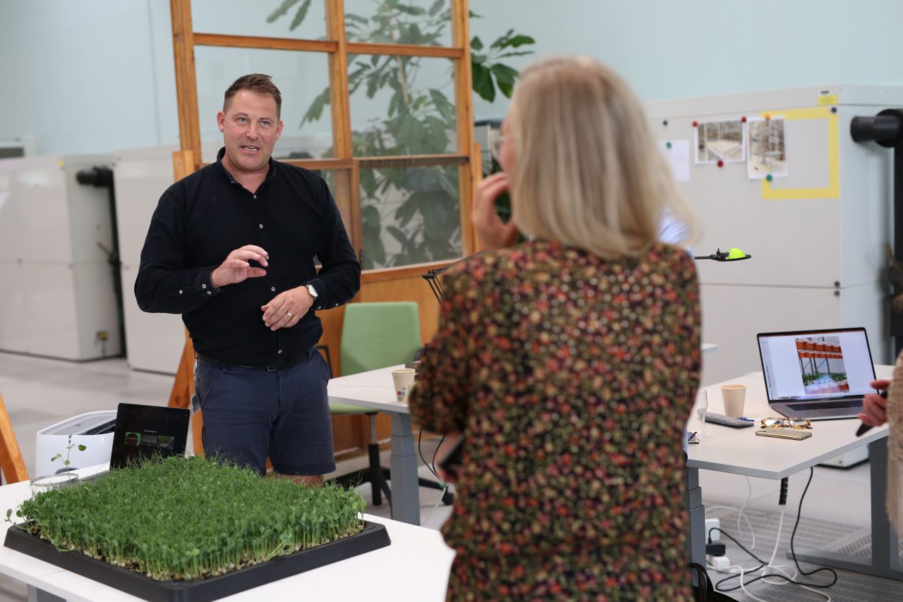 NIRAS Green Tech Hub